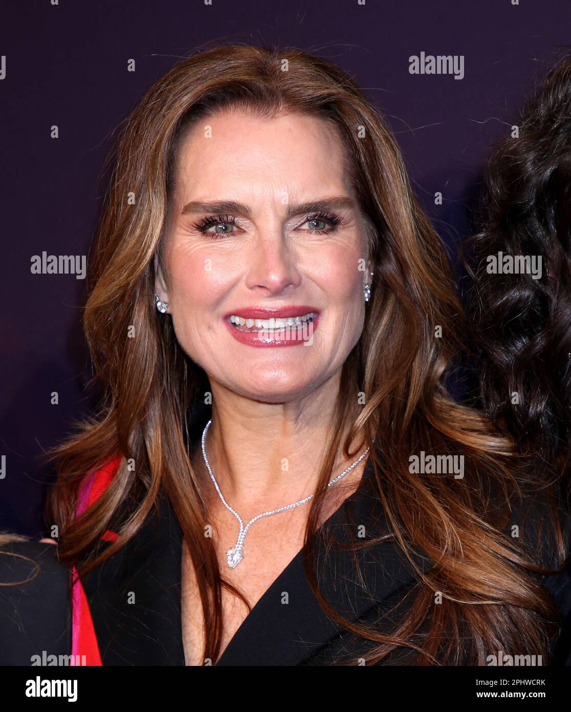 New York City, NY, March 29, 2023 Brooke Shields attending the 'Pretty ...