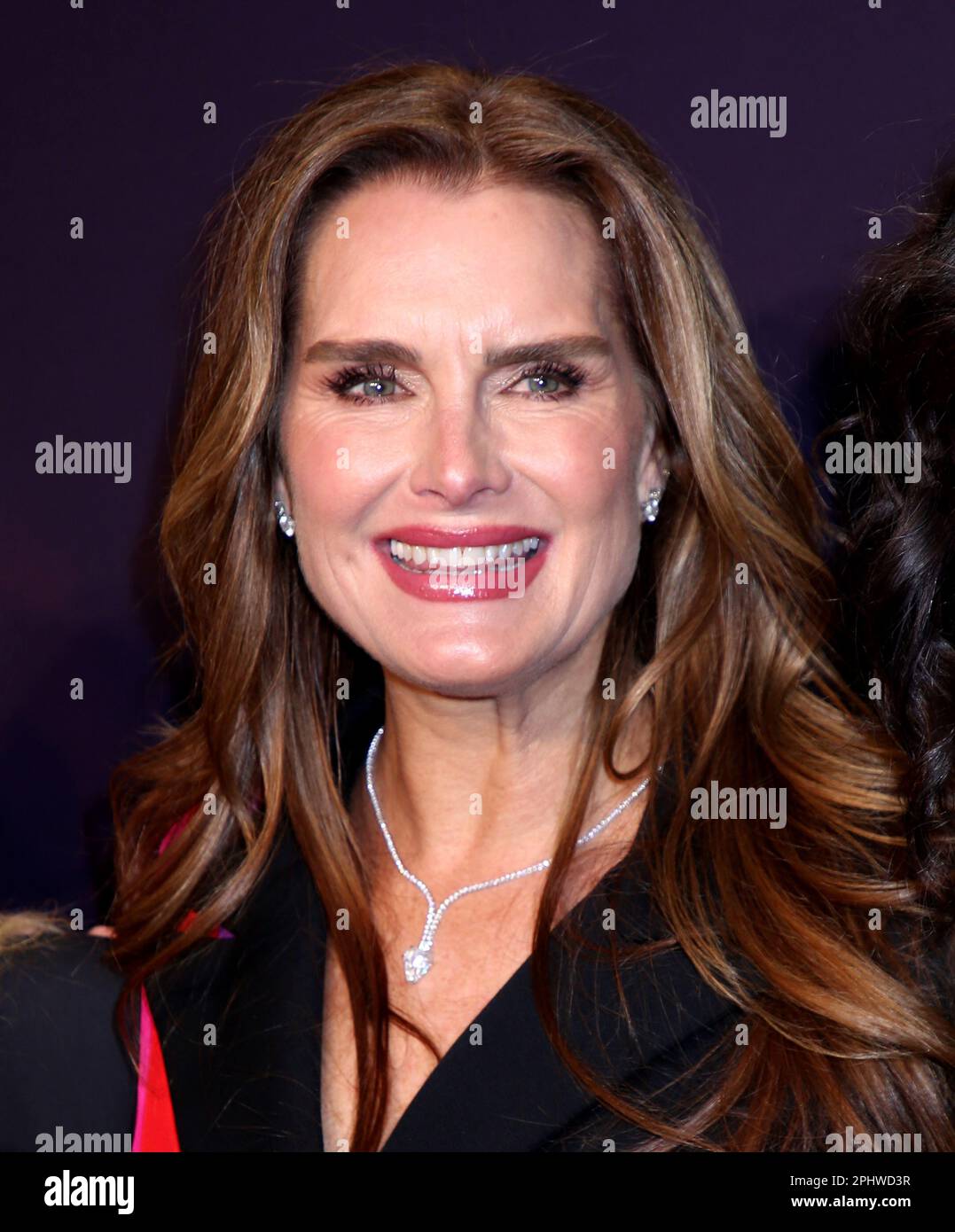 New York City, NY, March 29, 2023 Brooke Shields attending the 'Pretty ...