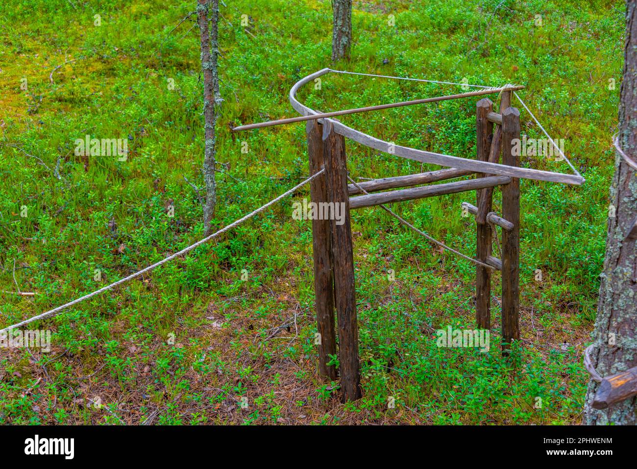 Hunting traps at Kierikki Stone Age Centre in Finland Stock Photo - Alamy