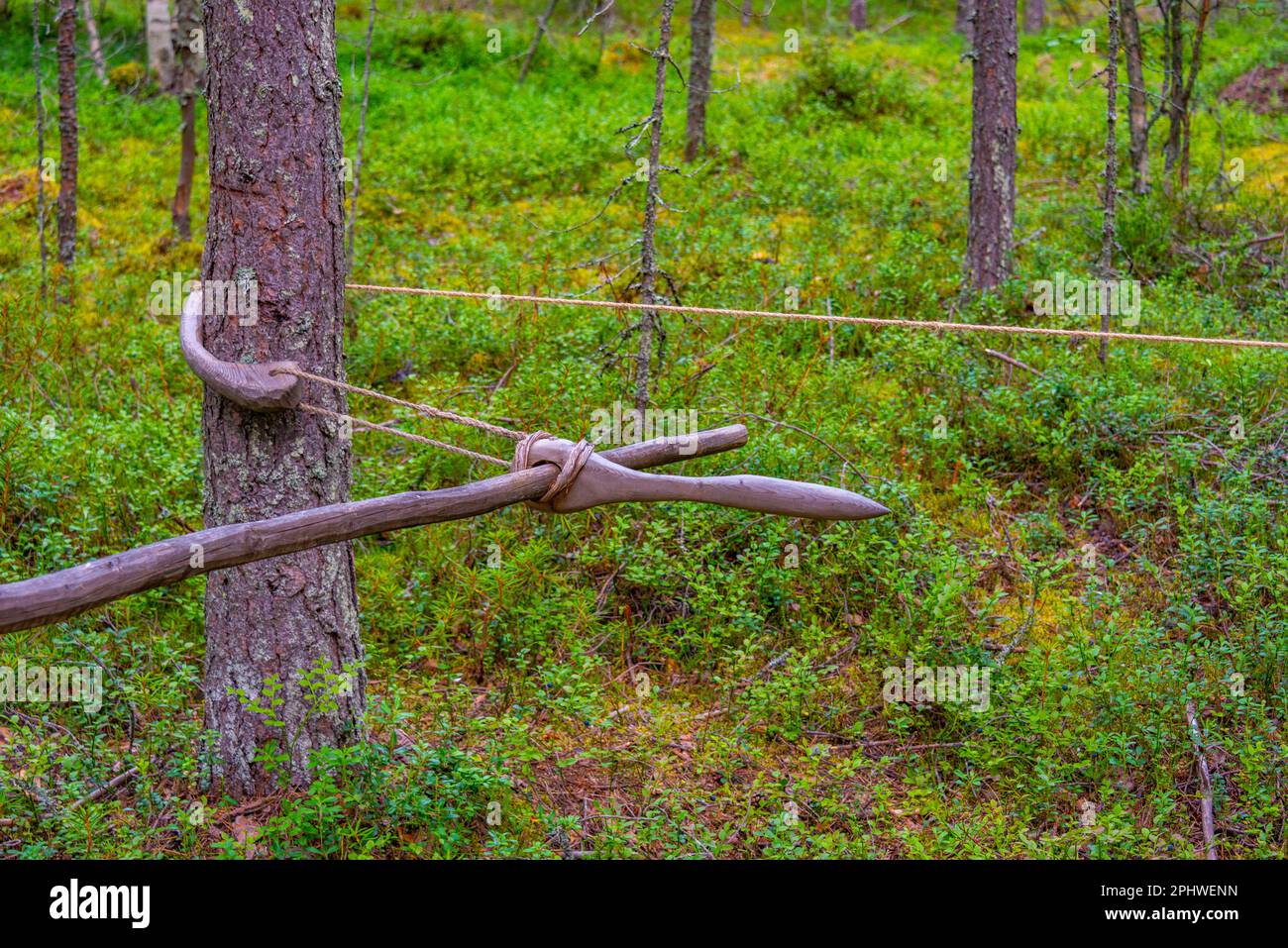 Hunting traps at Kierikki Stone Age Centre in Finland Stock Photo - Alamy