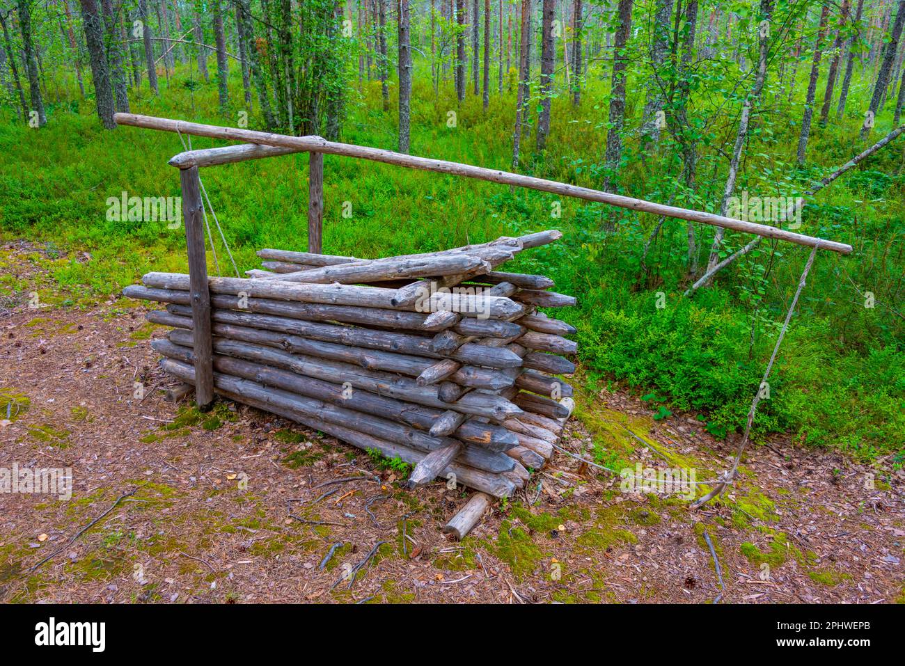 Hunting traps at Kierikki Stone Age Centre in Finland Stock Photo - Alamy
