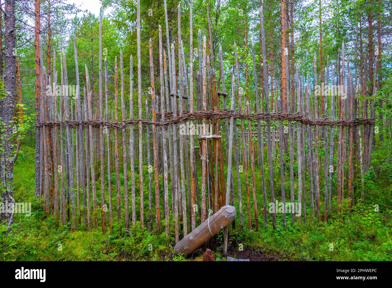 Hunting traps at Kierikki Stone Age Centre in Finland Stock Photo - Alamy