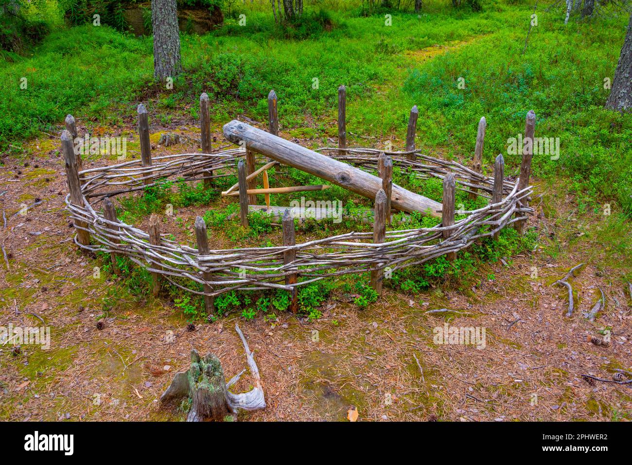 Hunting traps at Kierikki Stone Age Centre in Finland Stock Photo - Alamy