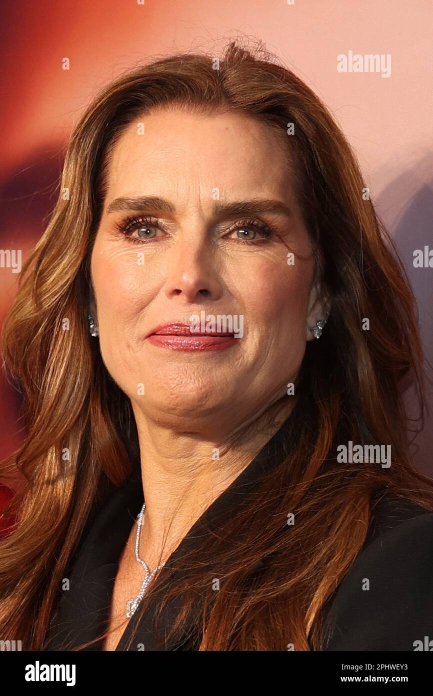 New York, NY, USA. 29th Mar, 2023. Brooke Shields at arrivals for ...