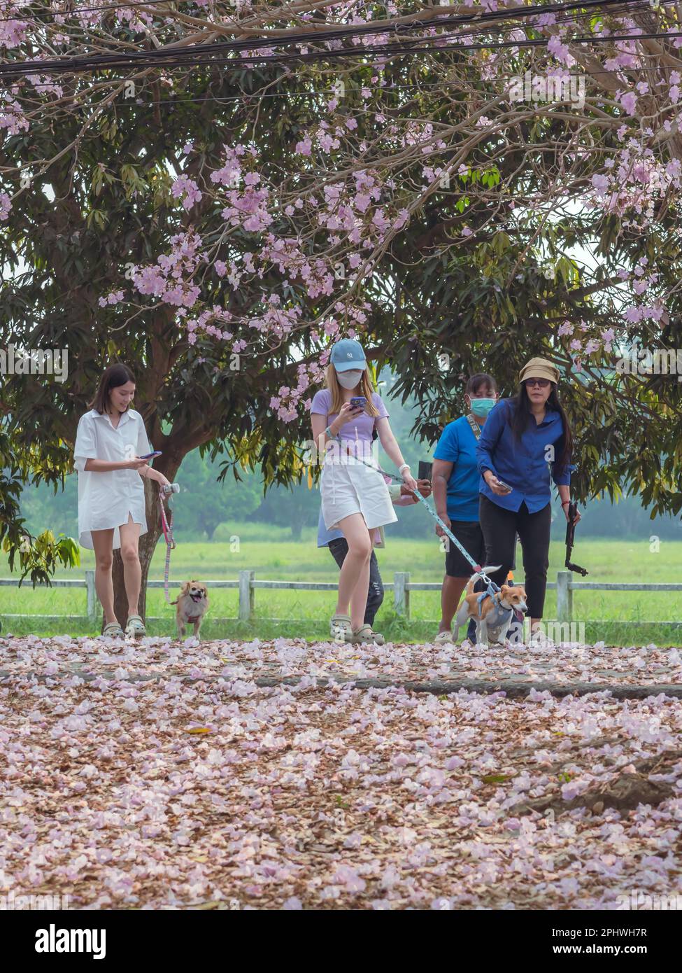 NAKHON PATHOM -THAILAND, MARCH 15 ,2023 : Unidentified Tourists come to ...
