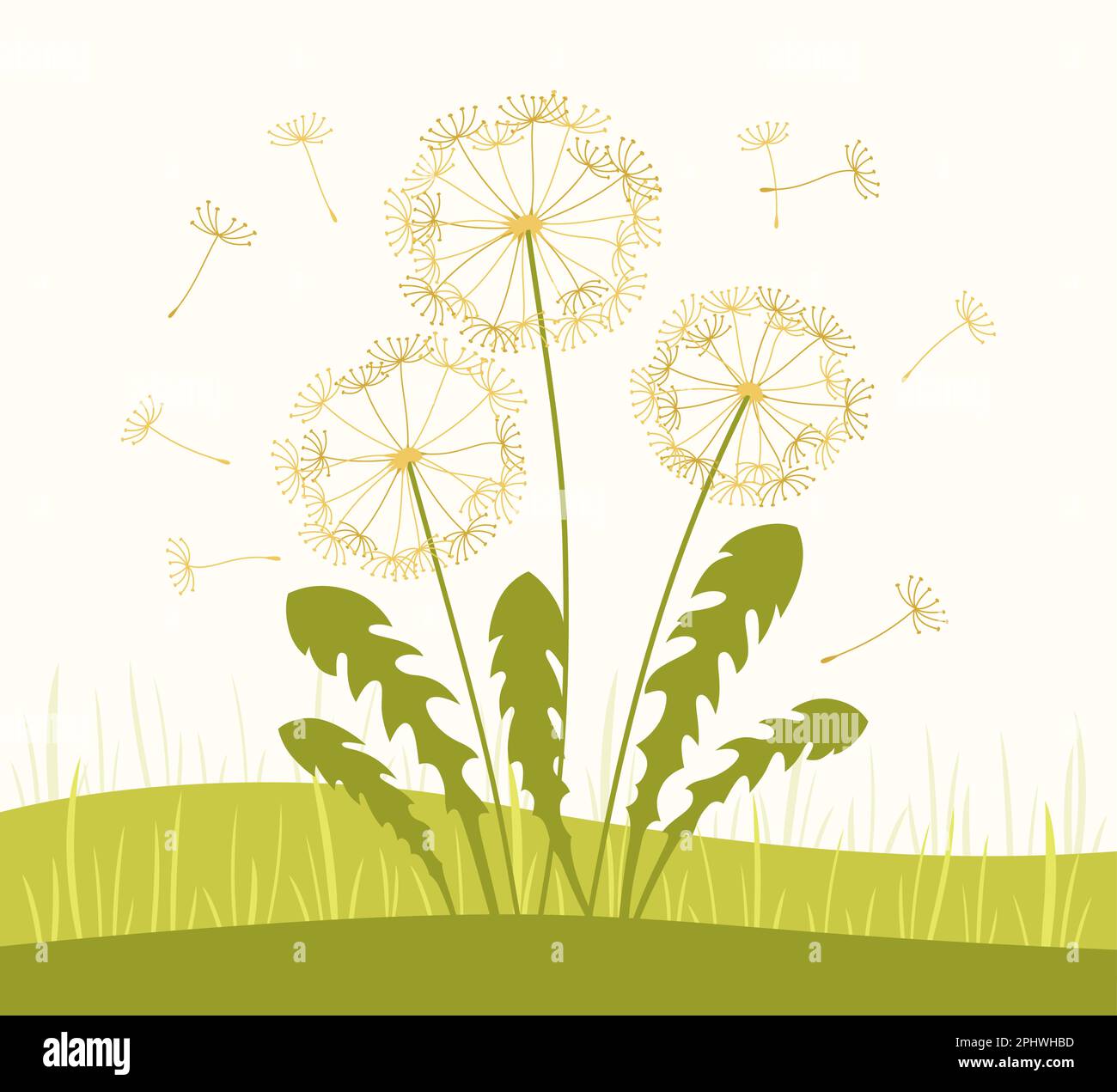 Dandelion with flying seeds in meadow, summer illustration. Abstract ...