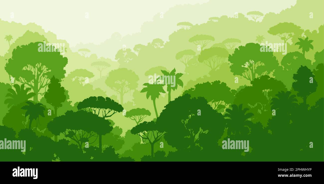 Jungle forest silhouette, tropical vector landscape with exotic flora ...
