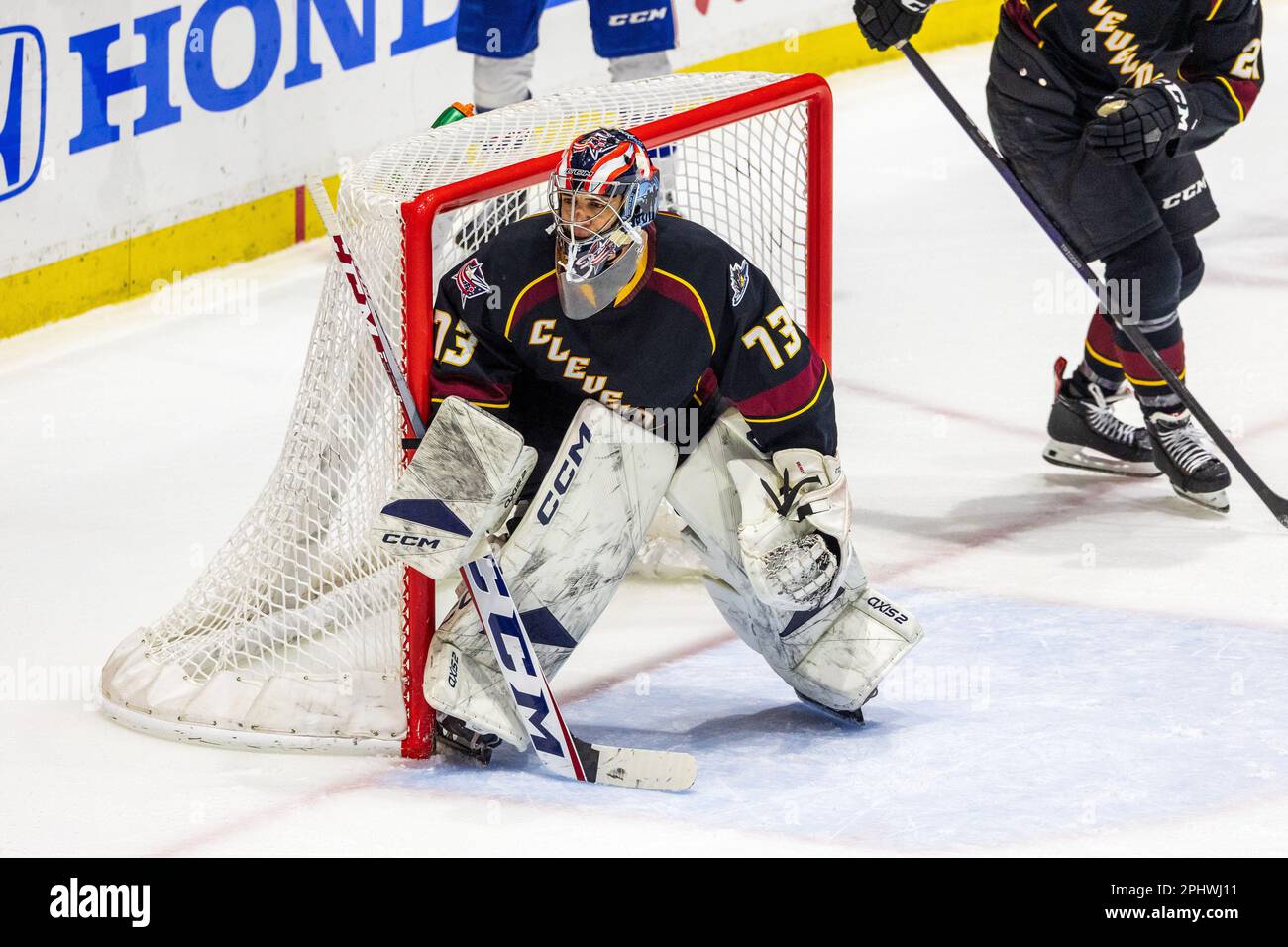 March 29, 2023: Cleveland Monsters goaltender Jet Greaves (73) prepares ...
