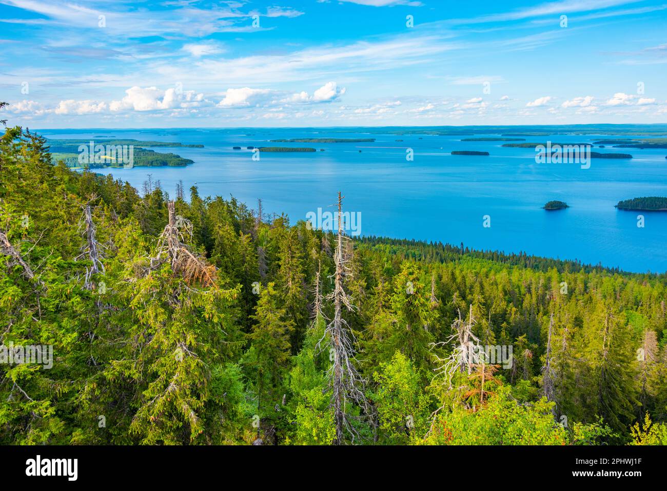 Panorama view of archipelago at lake Pielinen at Koli national park in ...