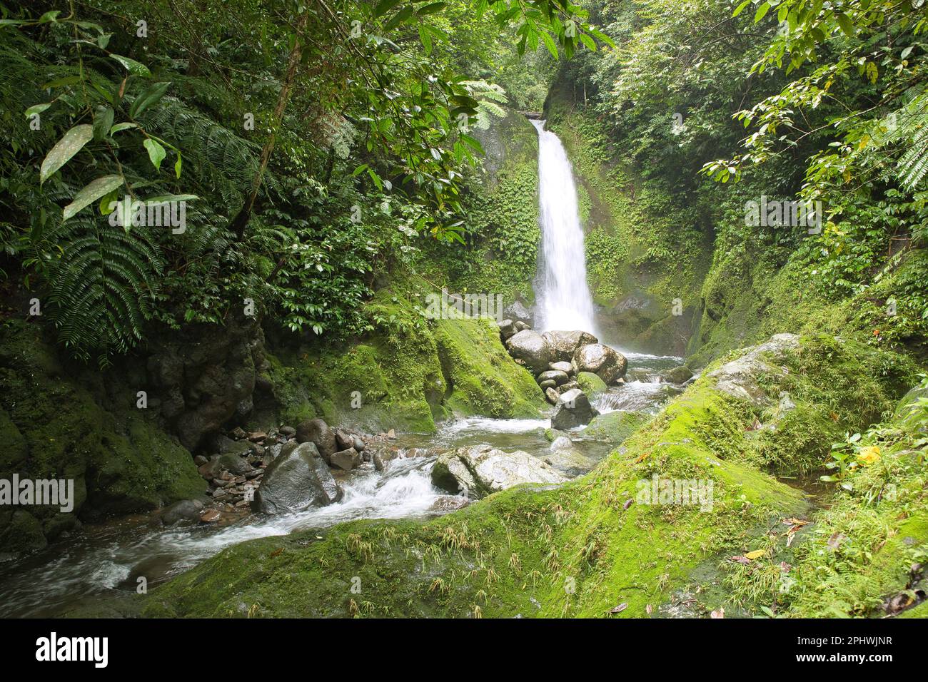 The idyllic Binangawan Waterfall in Camiguin in the Philippines that ...