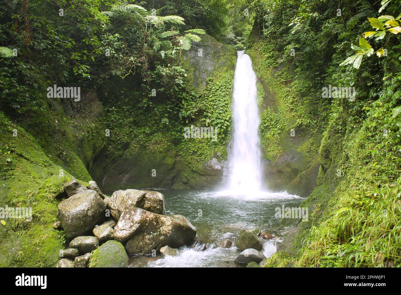 The idyllic Binangawan Waterfall in Camiguin in the Philippines that ...