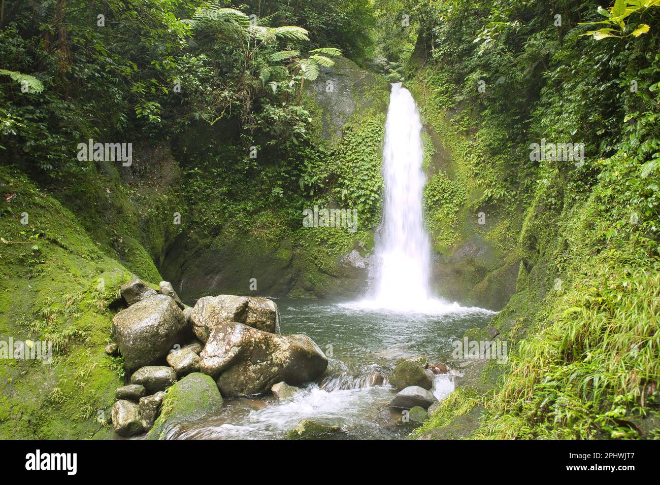 The idyllic Binangawan Waterfall in Camiguin in the Philippines that ...