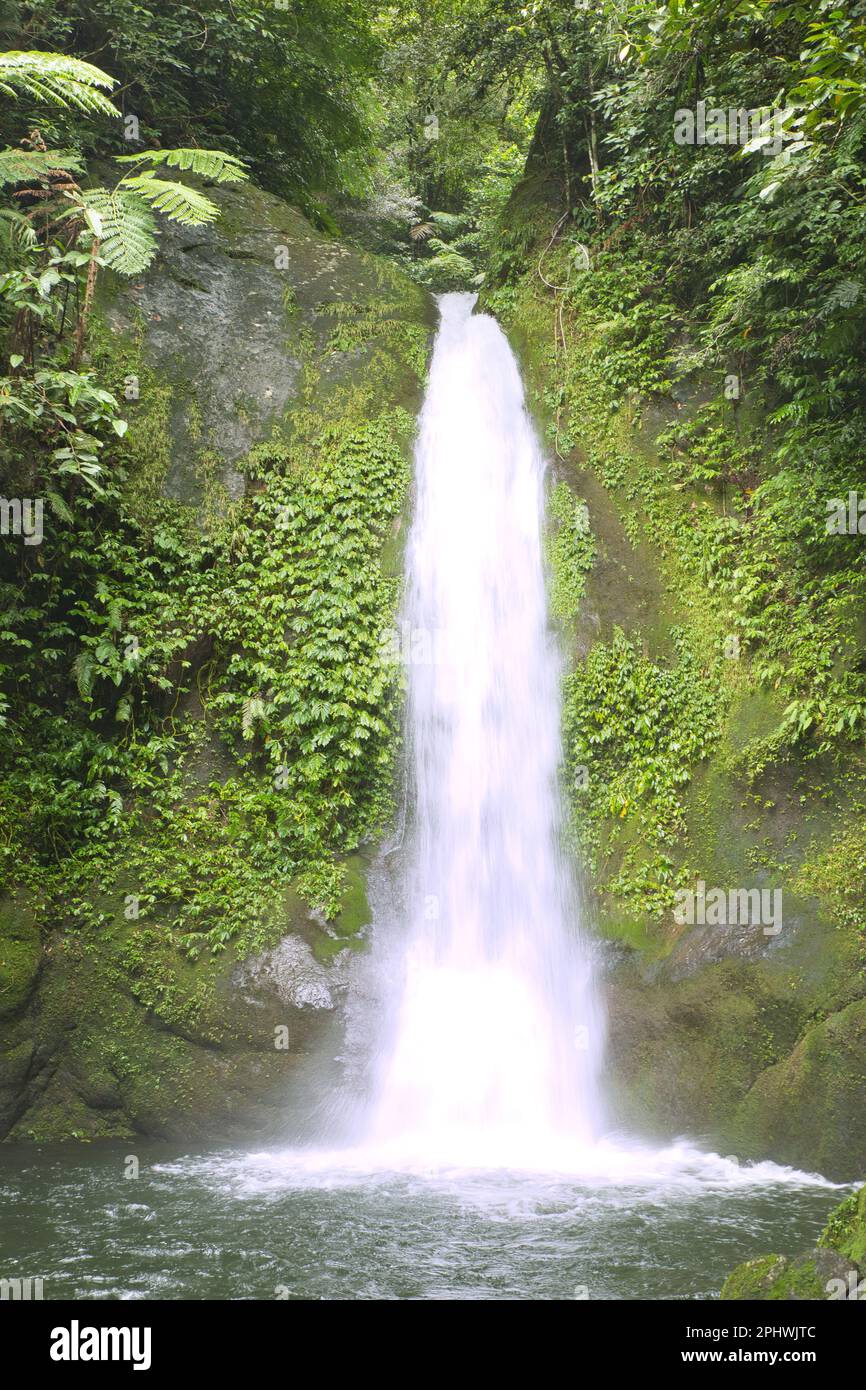 The idyllic Binangawan Waterfall in Camiguin in the Philippines that ...