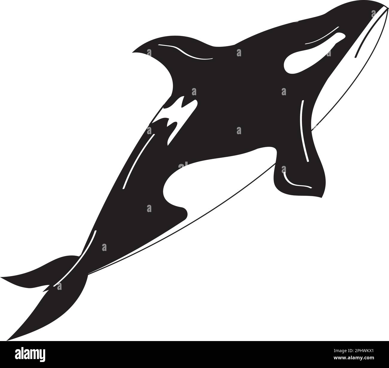 Whale engraving Stock Vector Images - Alamy