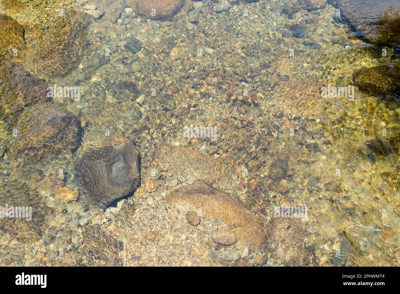 transparent river background in kerala forest Stock Photo - Alamy