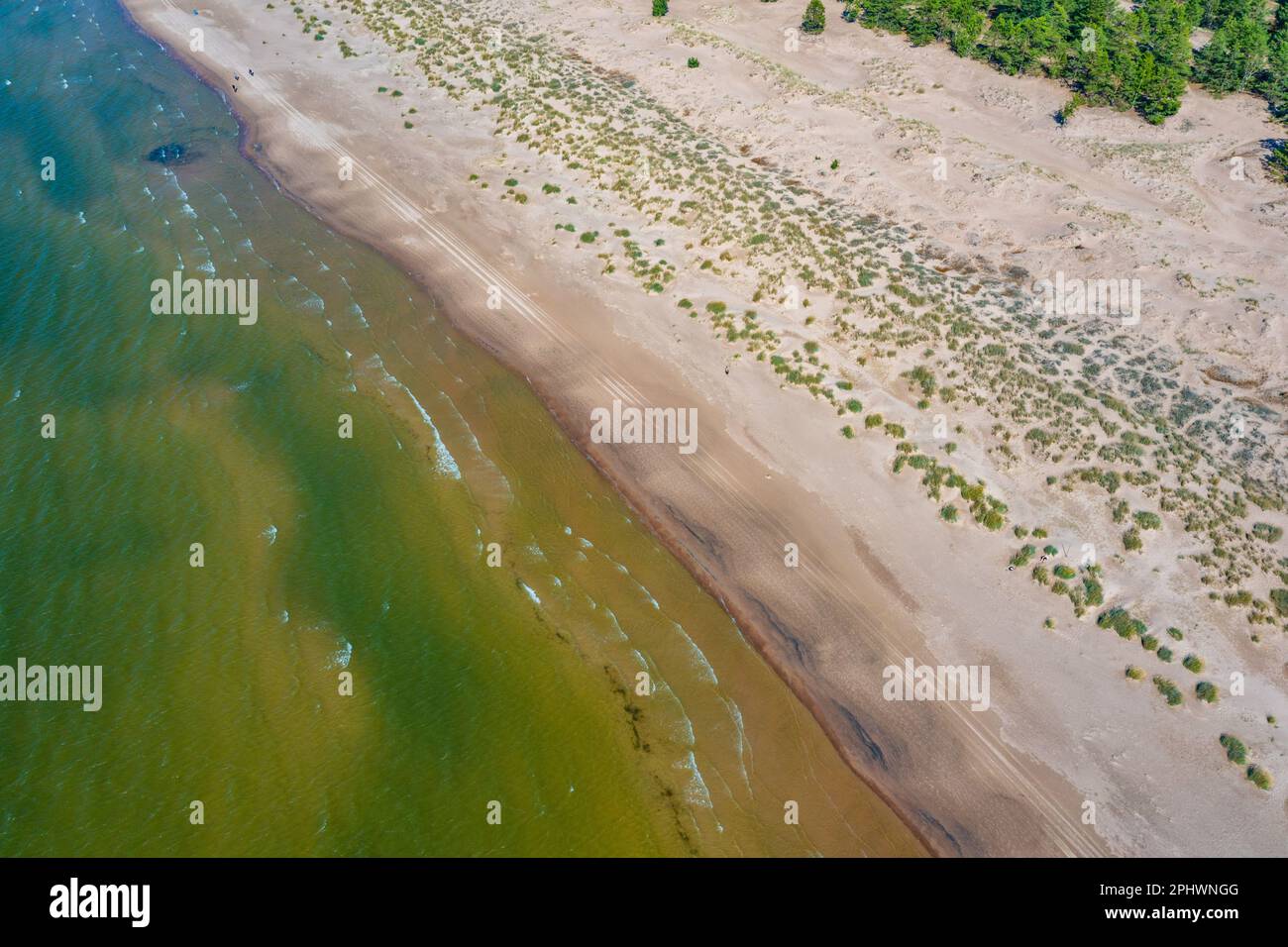 Panorama view of Yyteri beach in Finland Stock Photo - Alamy