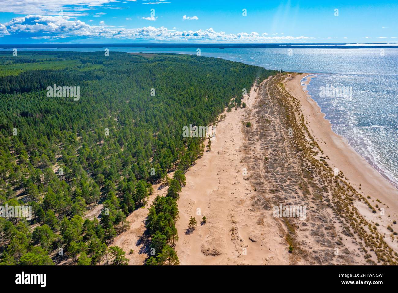 Panorama view of Yyteri beach in Finland Stock Photo - Alamy