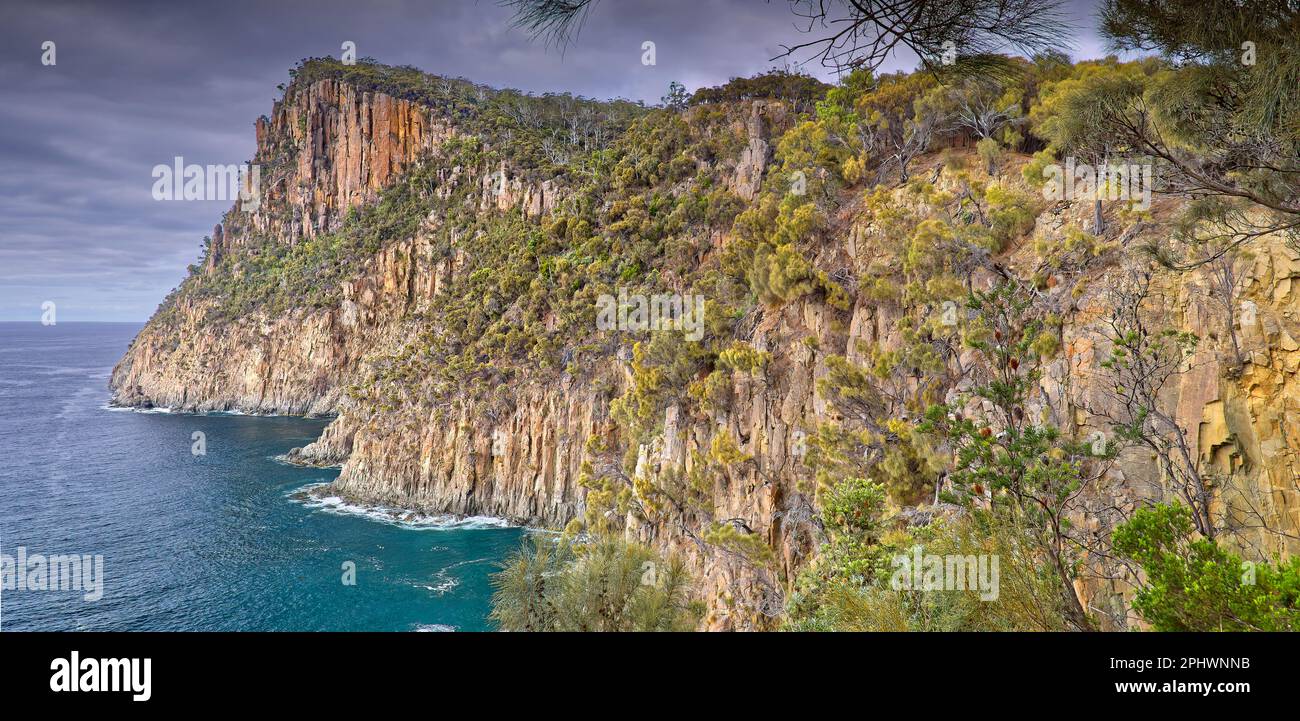 Fluted cape dolerite rock formation cliffs at Bruny Island, Tasmania ...