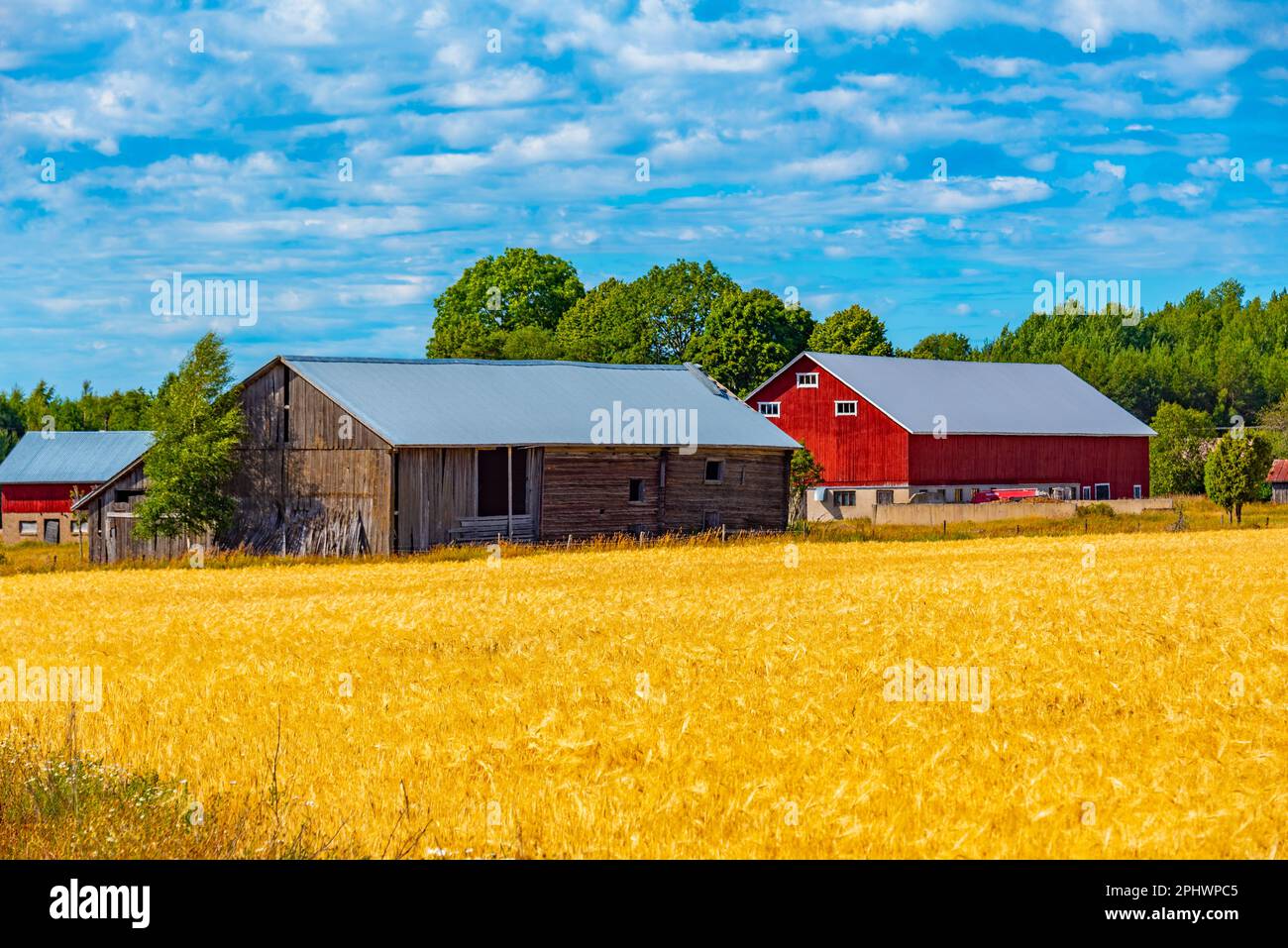 Aland island farm hi-res stock photography and images - Alamy
