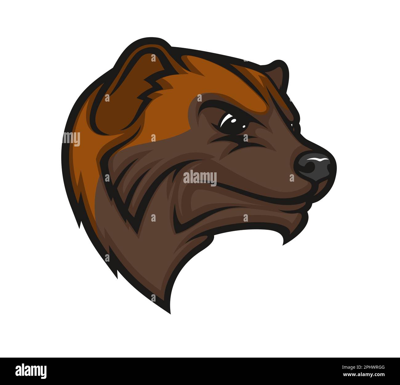 Wolverine head Isolated vector mascot or icon. Cartoon wild animal with ...