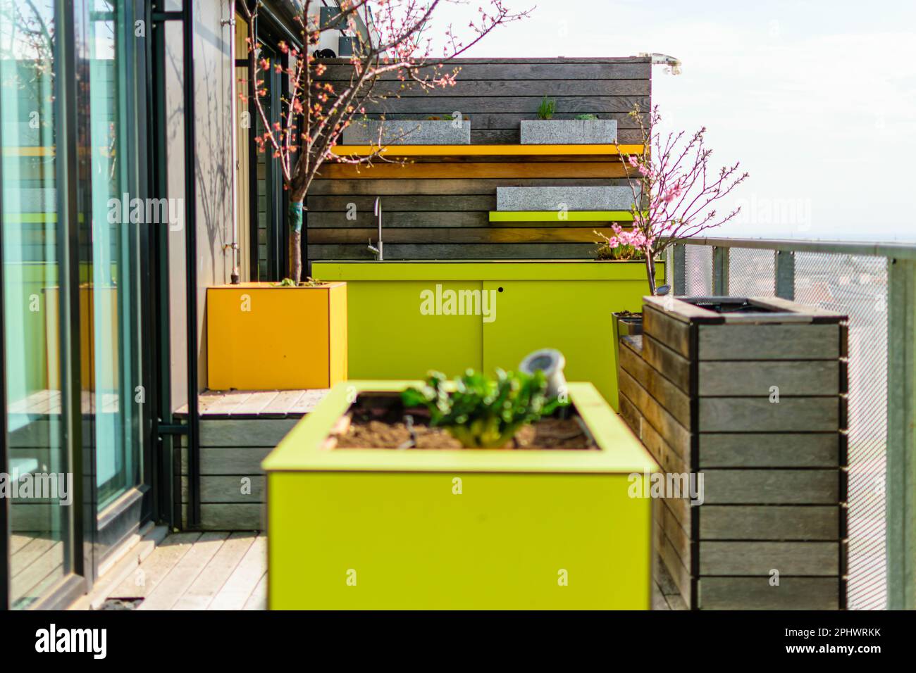 Beautiful roof terrace with wooden floor with yellow and green planters ...