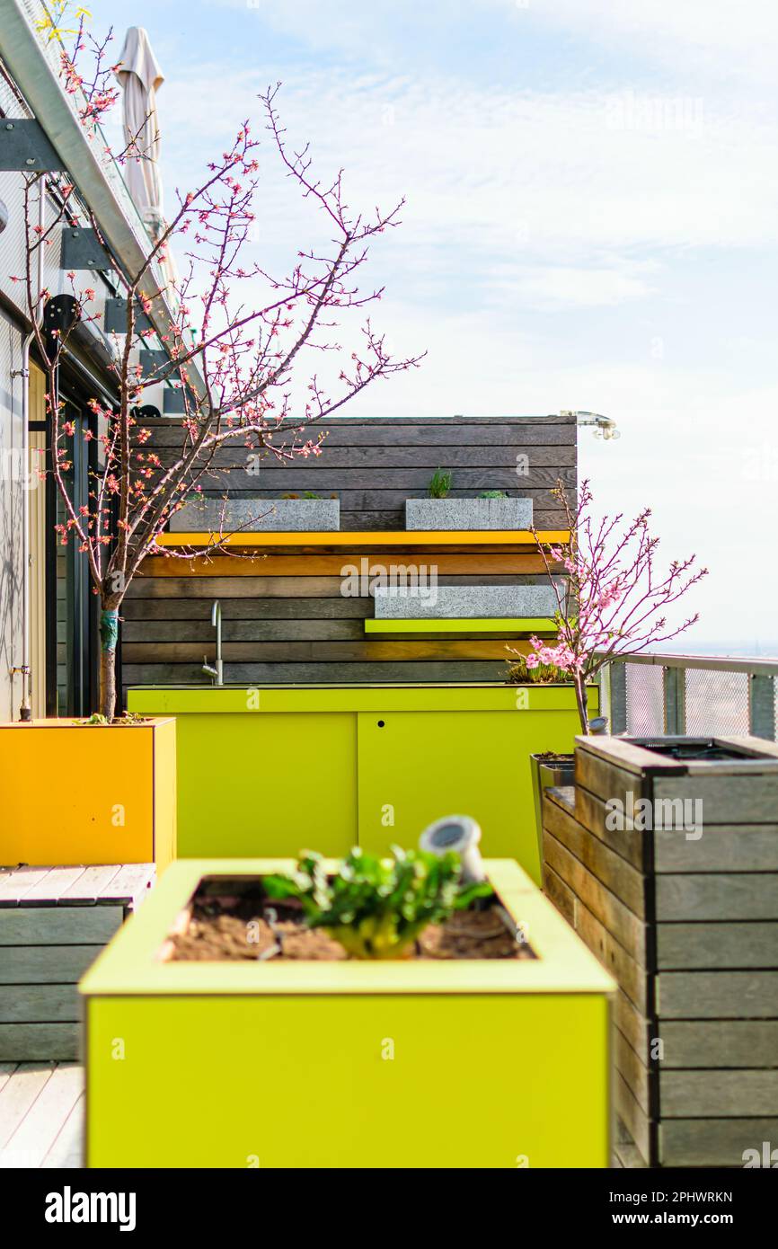 Beautiful roof terrace with wooden floor with yellow and green planters ...