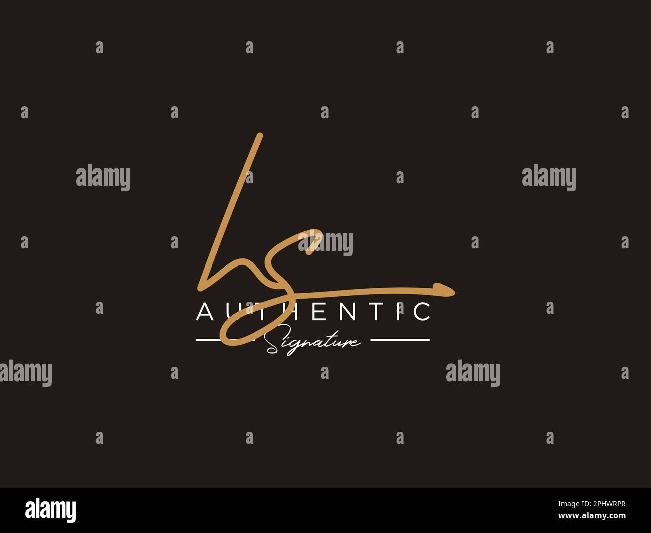 Letter HS Signature Logo Template Vector Stock Vector Image & Art - Alamy