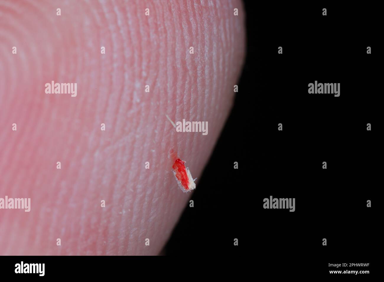 Hand cut blood bleeding hi-res stock photography and images - Alamy