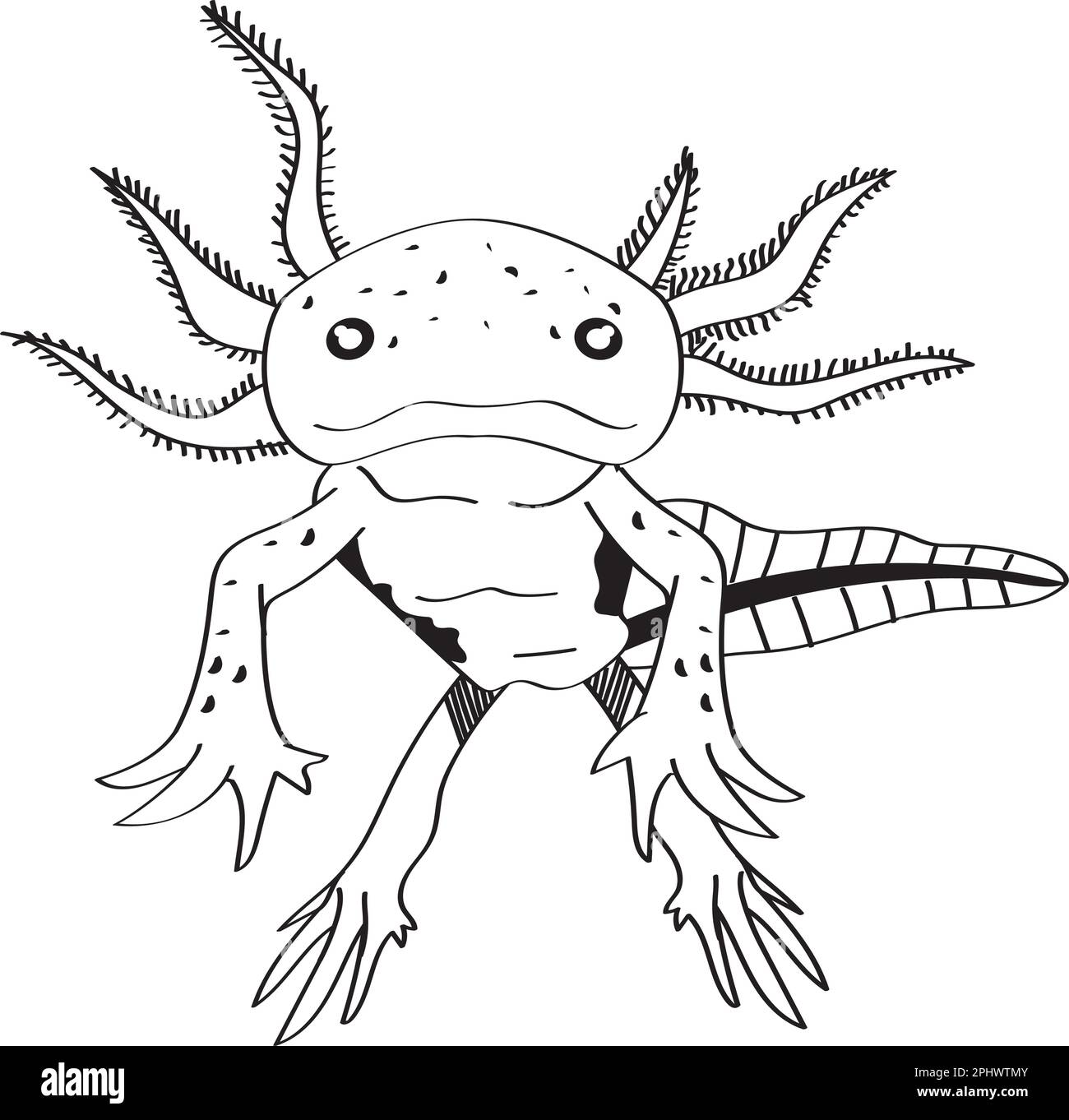 Axolotl drawing Black and White Stock Photos & Images - Alamy