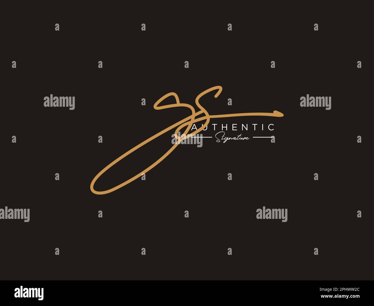 Letter GS Signature Logo Template Vector Stock Vector Image & Art - Alamy
