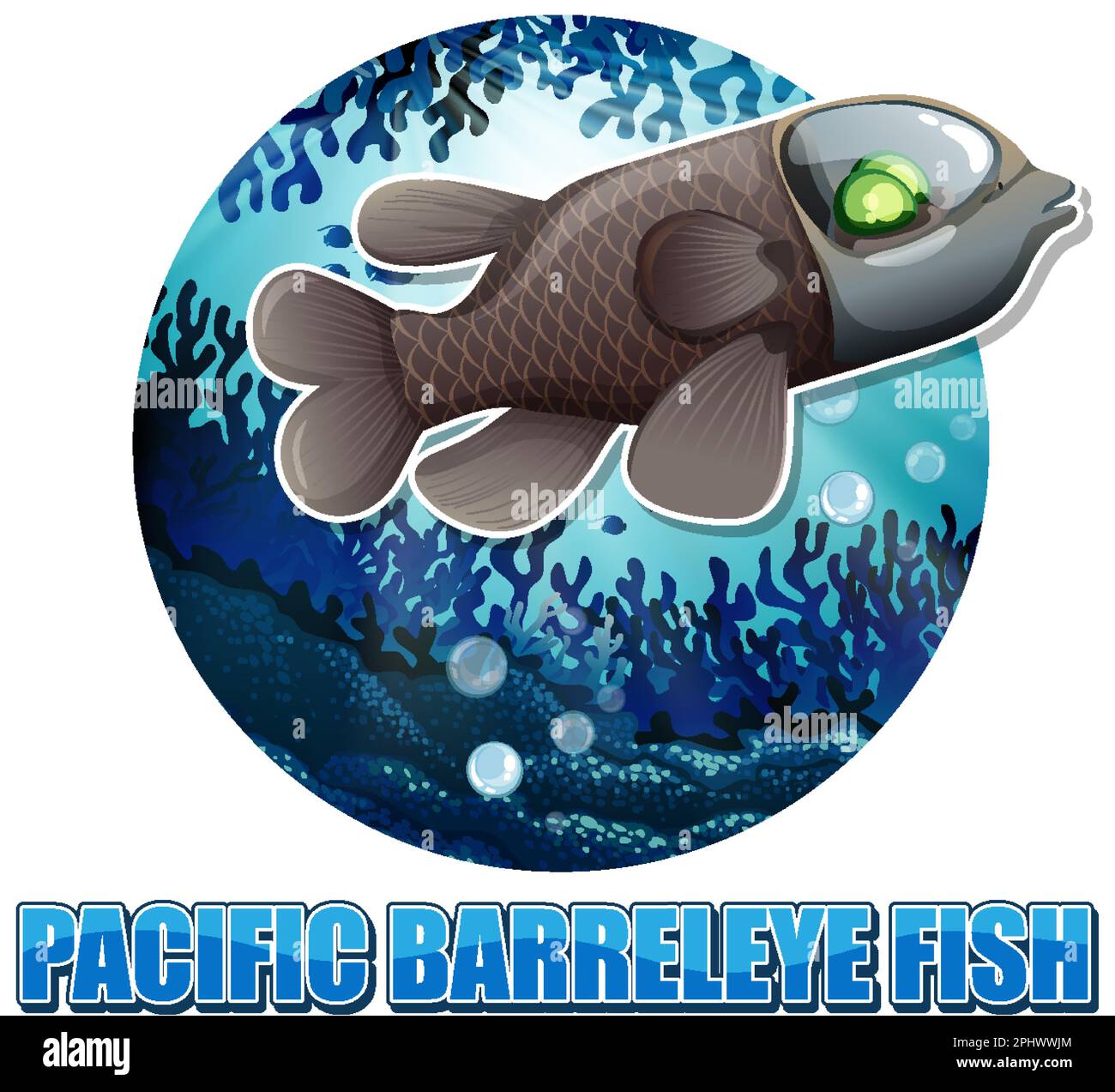 Pasific Barreleye Fish Deep Sea Creature illustration Stock Vector ...