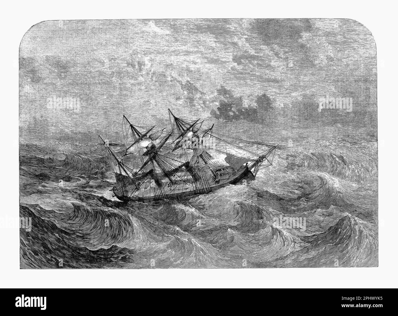 Great gale Cut Out Stock Images & Pictures - Alamy