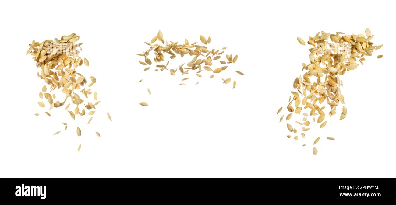 Set of Pumpkin Seeds Falling in Free Motion Bulk. isolated Over White ...