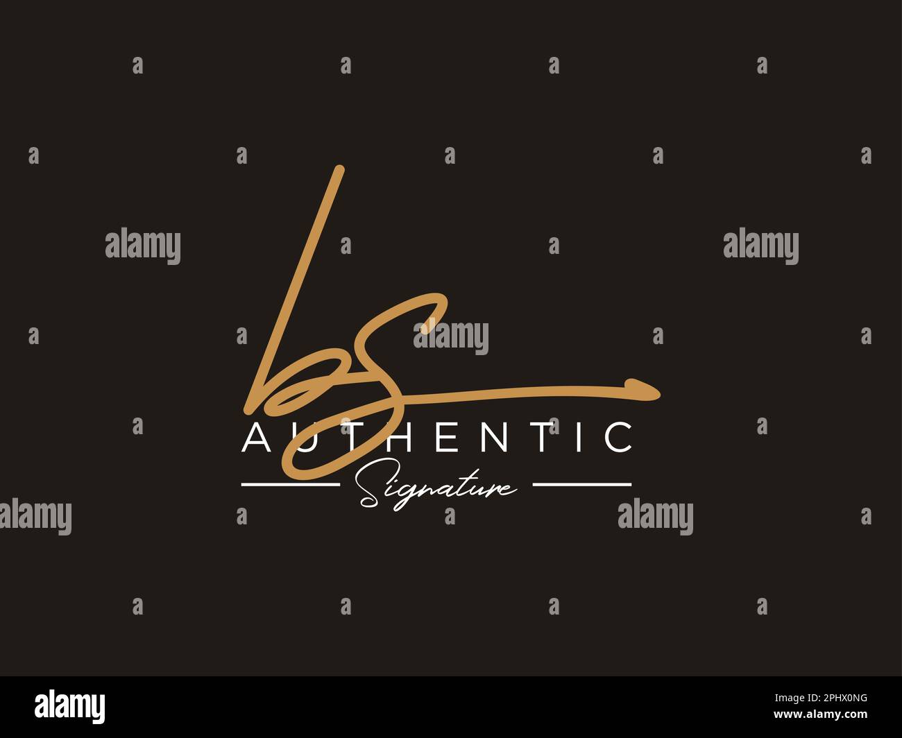 Letter BS Signature Logo Template Vector Stock Vector Image & Art - Alamy