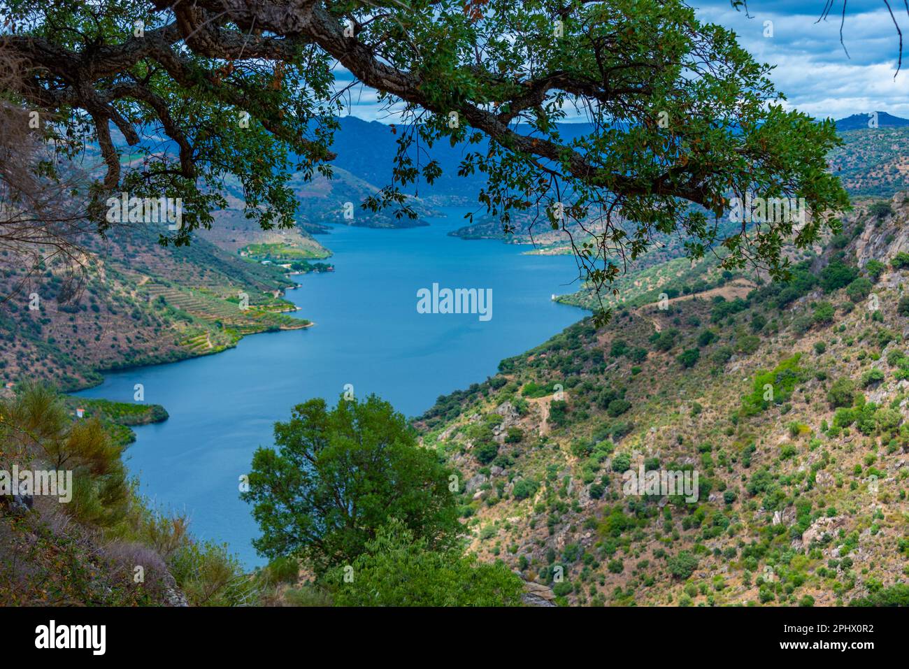 Panorama view of river Douro from Picon del Moro viewpoint in Spain ...