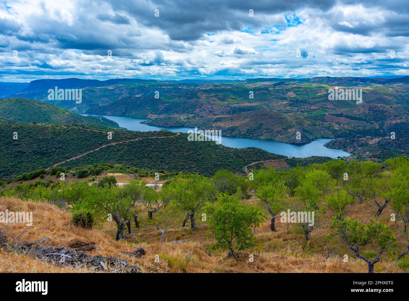 Panorama view of river Douro from Vilvestre village in Spain Stock ...