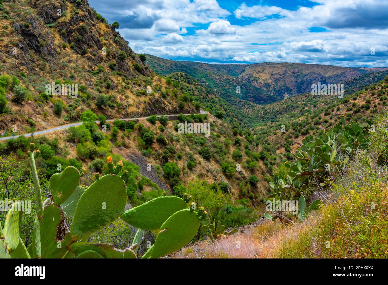 Barren valley surrounding confluence of Huebra and Camaces rivers in ...