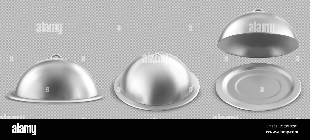 Silver food tray, plate with cloche for restaurant. 3d metal dish with ...