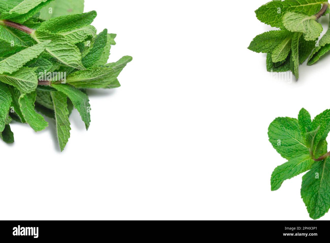 Fresh mint leaves isolated on a white background Stock Photo - Alamy