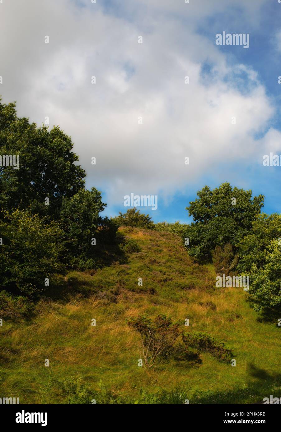 Beauty of nature. The beauty of nature - Rebild National Park, Jutland ...