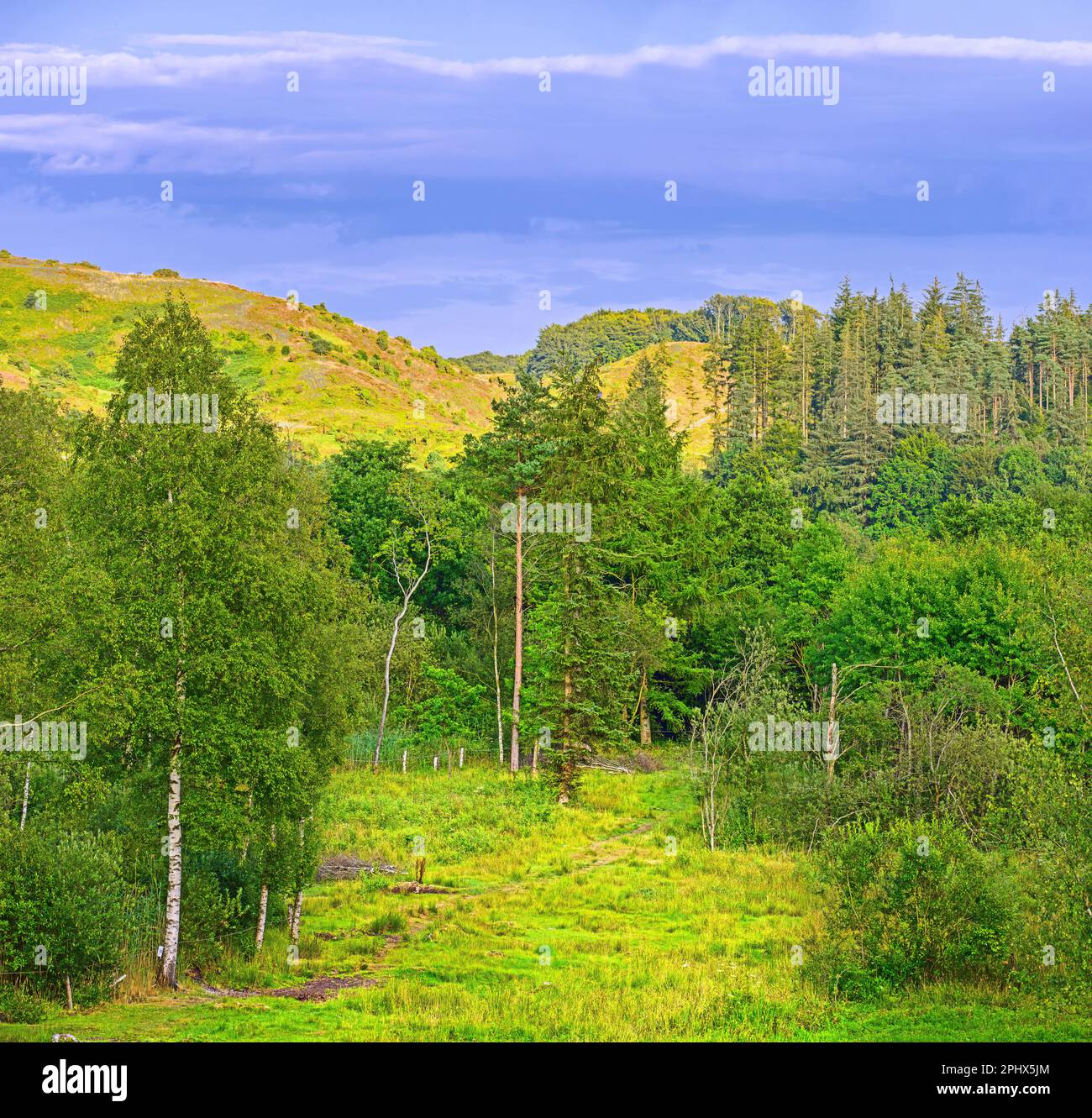 Beauty of nature. The beauty of nature - Rebild National Park, Jutland ...