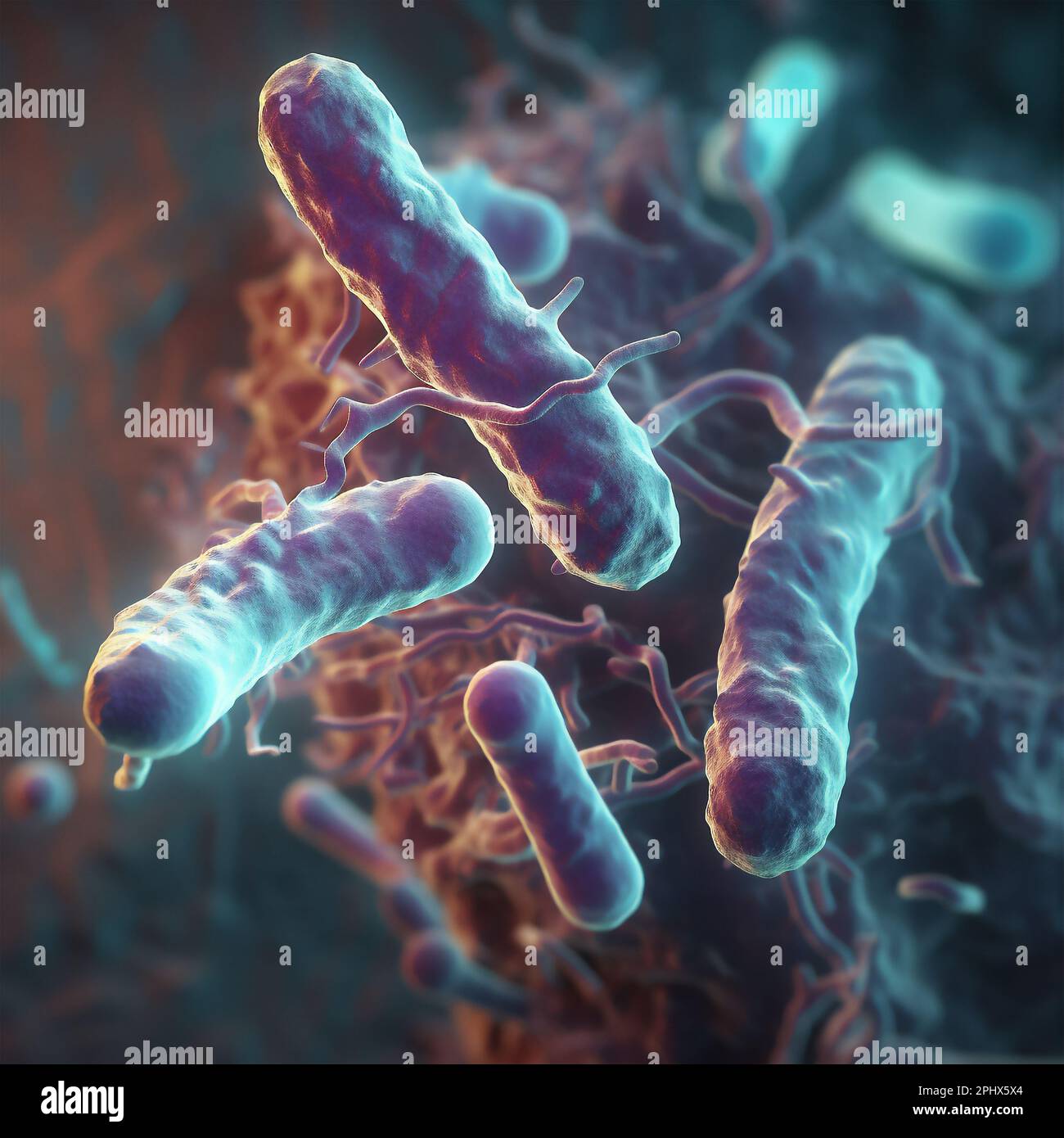 Citrobacter bacteria hi-res stock photography and images - Alamy