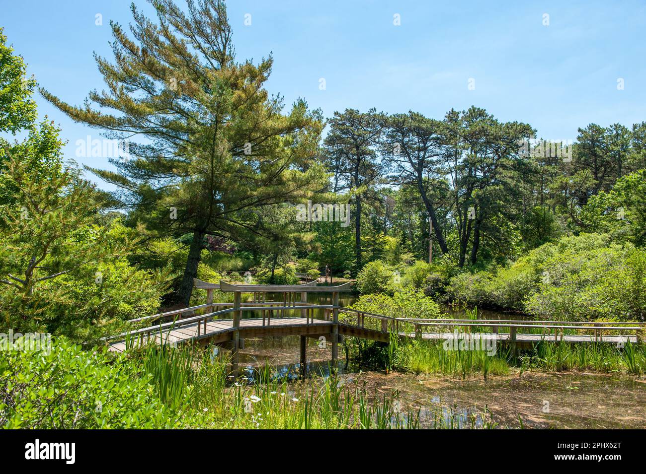 Mytoi Japanese Garden on Chappaquiddick Island, MA Stock Photo - Alamy