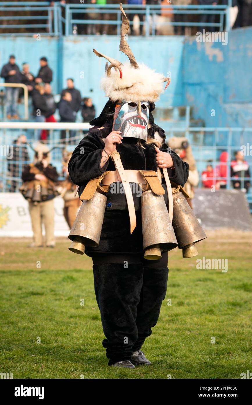 Kukeri dancer with animal skin costume, large bells and weird mask at ...