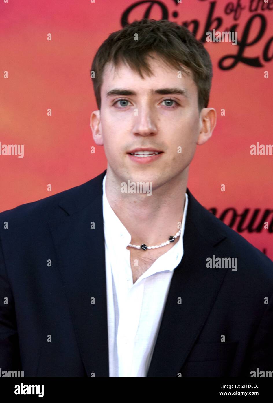 Los Angeles, California, USA. 29th March 2023 Actor Dylan Sloane attends the Los Angeles ...