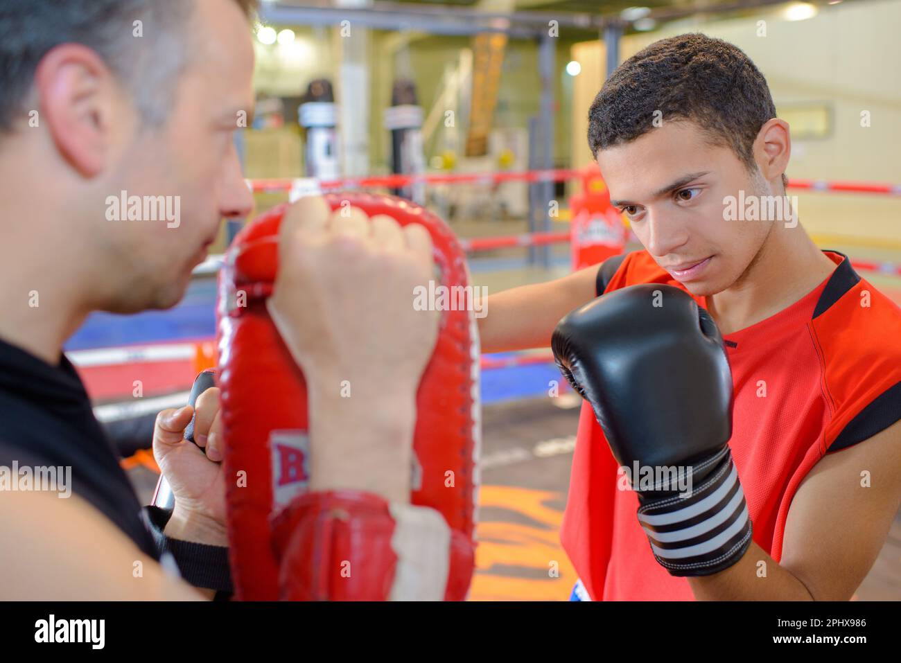 coach and man in boxing class Stock Photo - Alamy