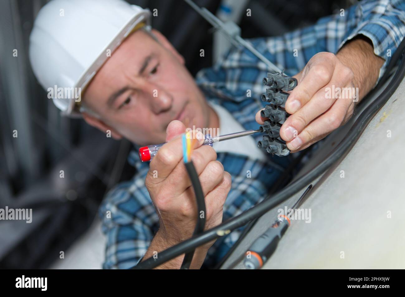 technician install suspended ceiling in office Stock Photo - Alamy