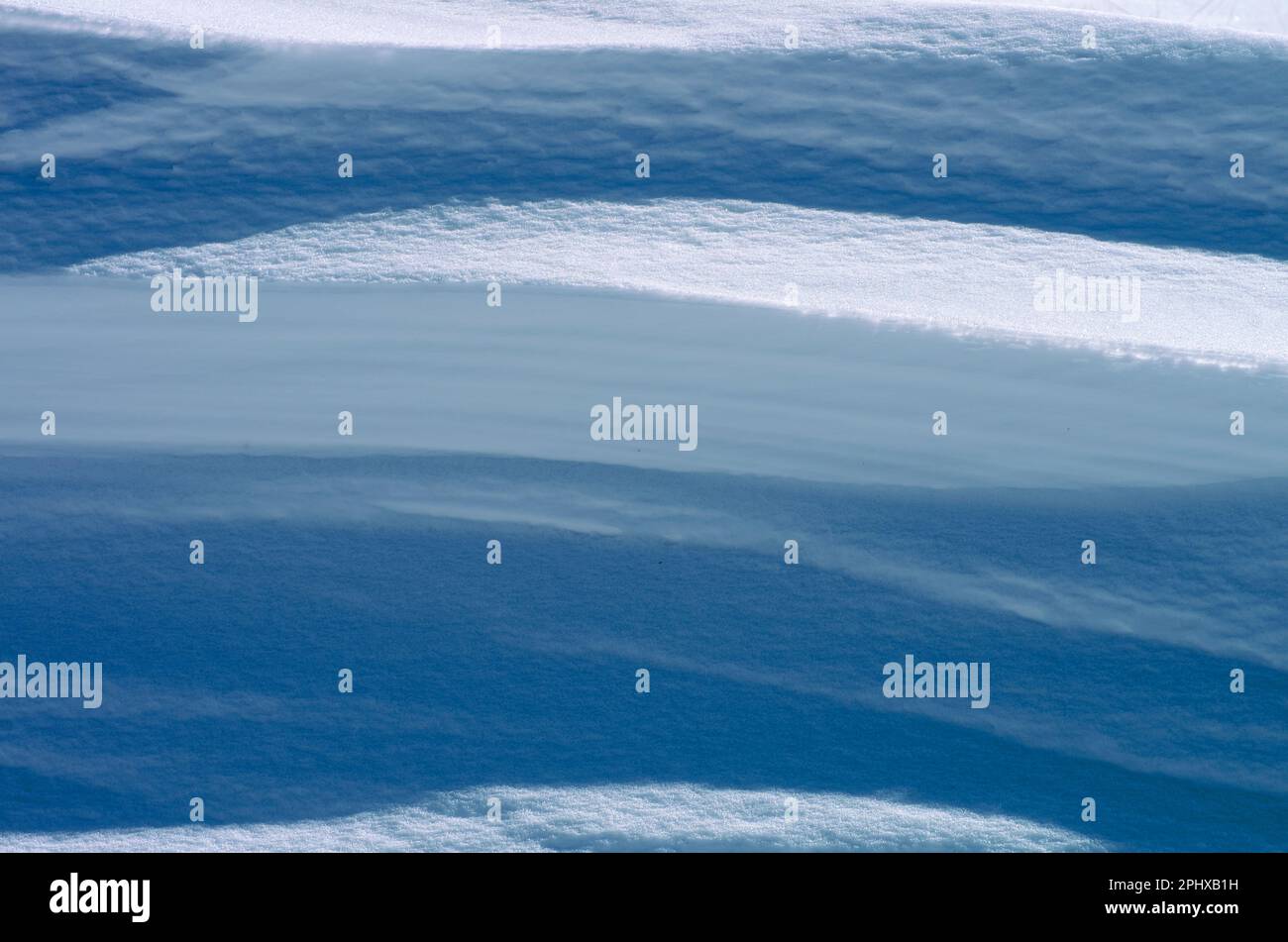 abstract nature color gradation in winter Etna National Park, Sicily ...