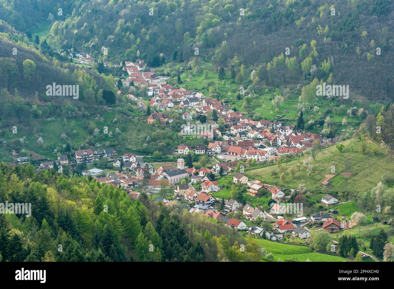 Scharfeneck neuscharfeneck hi-res stock photography and images - Alamy