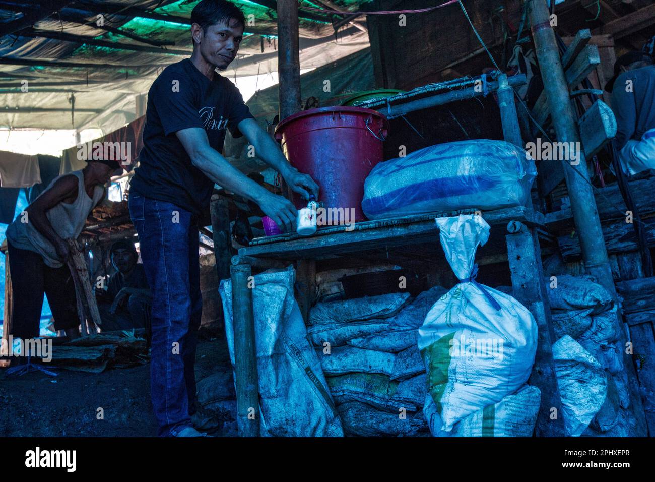 Gold in the java jungle hi-res stock photography and images - Alamy